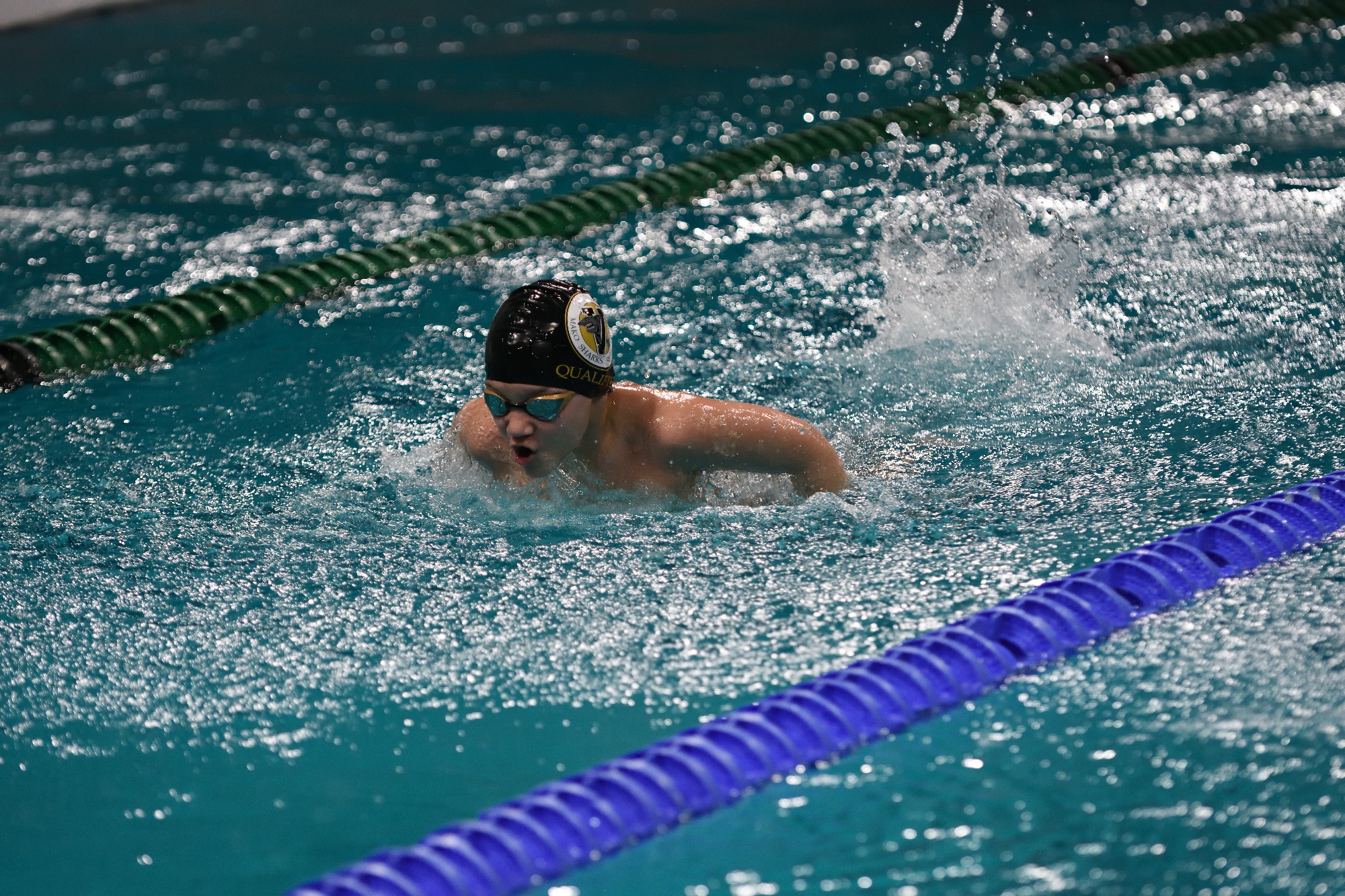 Vicenza Acqua Lions Swim Team Home