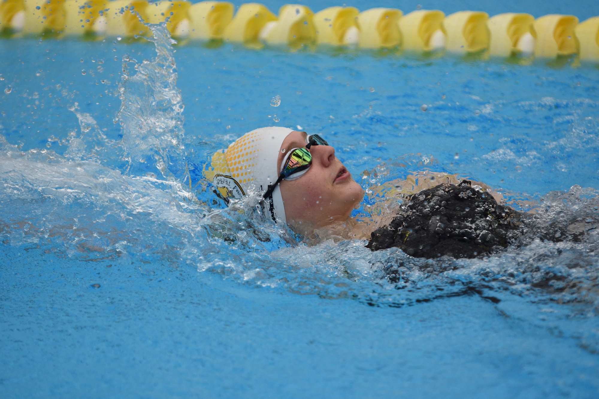 Vicenza Acqua Lions Swim Team Home
