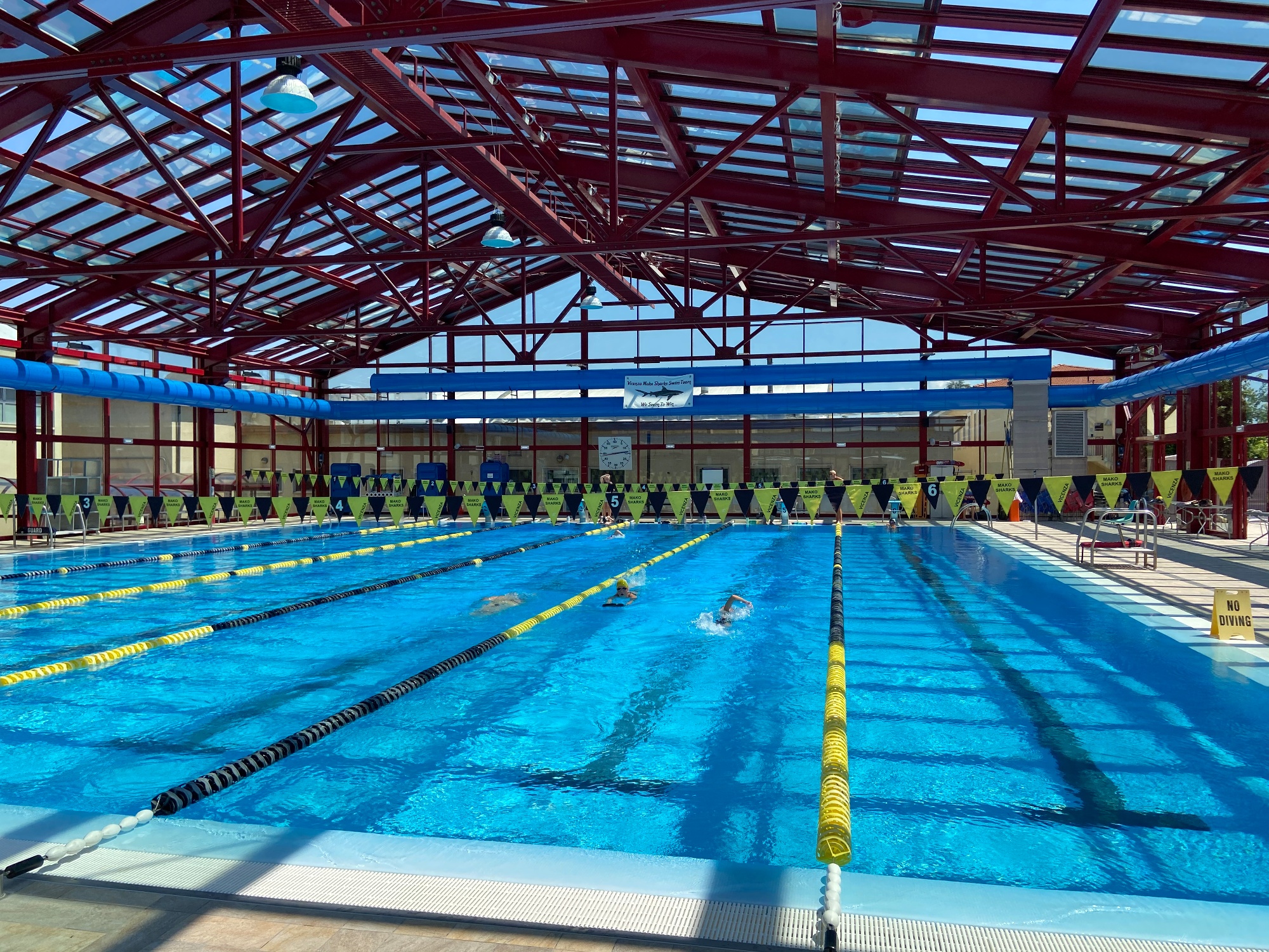 Vicenza Acqua Lions Swim Team Home